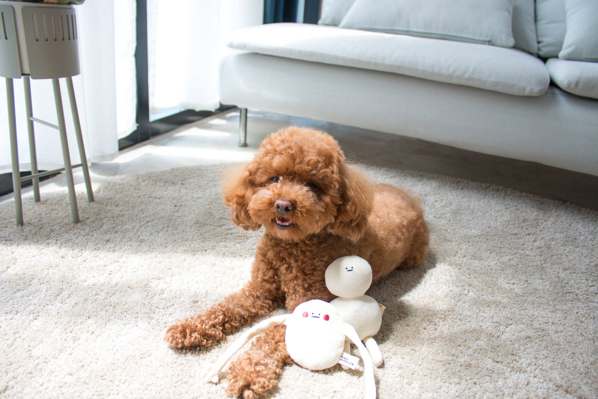 Designer Dog Toys: A Guide to Engaging Play Objects For Dogs and Pups ...